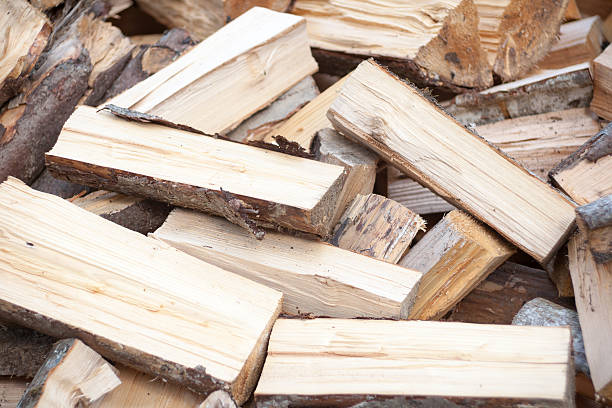 Battle of the Fire Starters| Why Fatwood Beats Synthetics Every Time ...